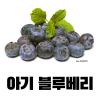 아기 블루베리 언제부터 먹을 수 있을까 몇 개월 네이버 블로그